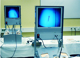 Lapstar, a laparoscopic training device with physical feedback and ...